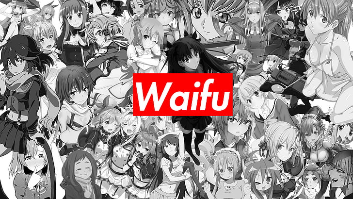 Waifu – japanfuntime